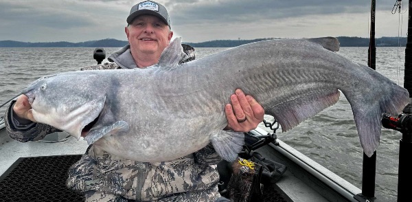 How Fish See — and How This Helps Us Catch Them - Water Wire | Water Wire