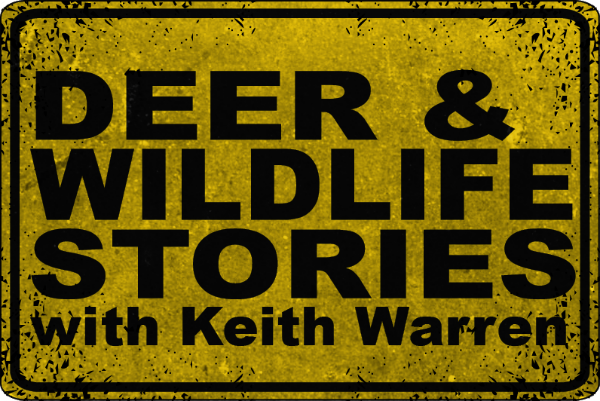 Deer & Wildlife Stories Showcases Daniel Thomas Whitetails — Breeding ...