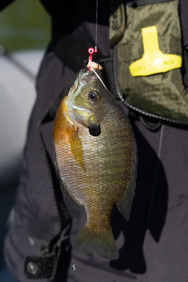 Special Fishing Regulations Set at Lake La Su An Wildlife Area - Water ...